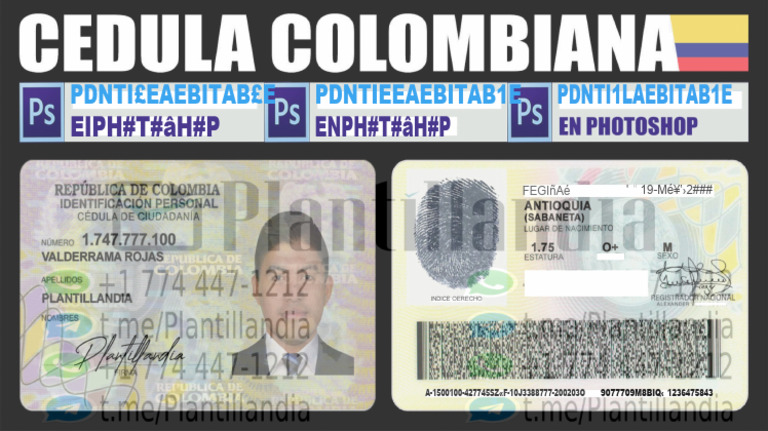 Plantilla de Cedula Colombiana | PDF