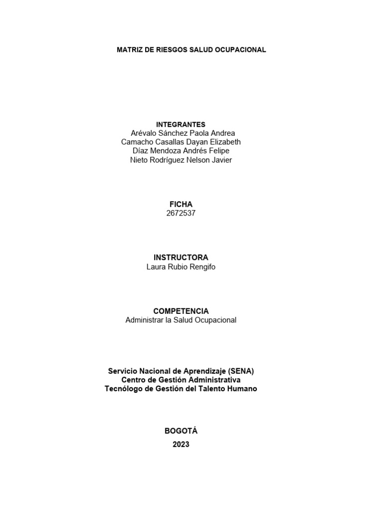 Entregable Laura | PDF | Riesgo | Business