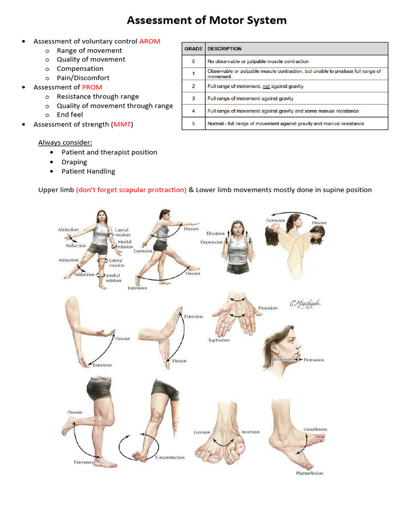 SUMMARY Practical Assessment Copy 2 | PDF