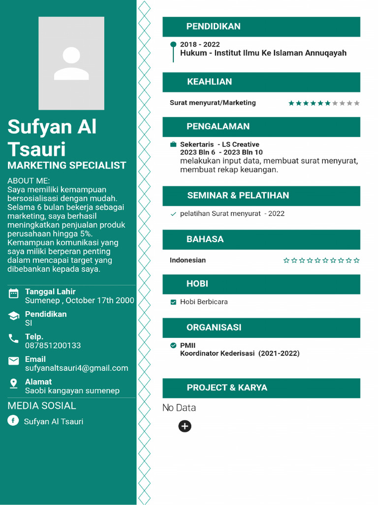 CV Sufyan | PDF