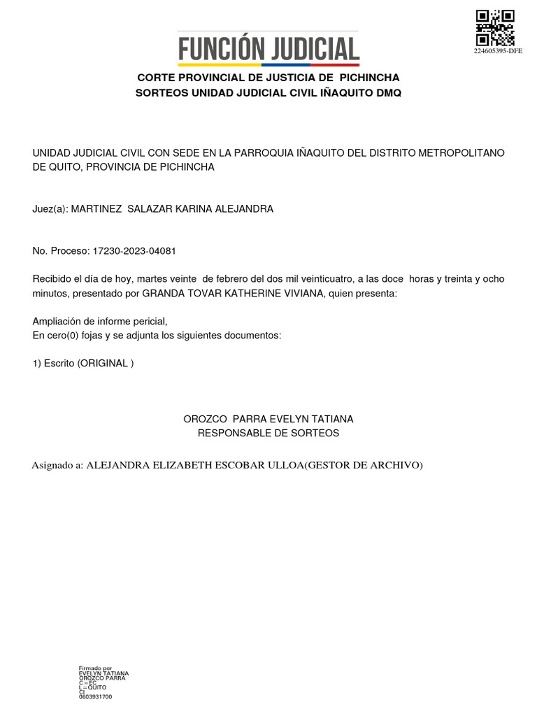 Ampliación de Informe Pericial Iñaquito | PDF | Hogar, jardinería y ...