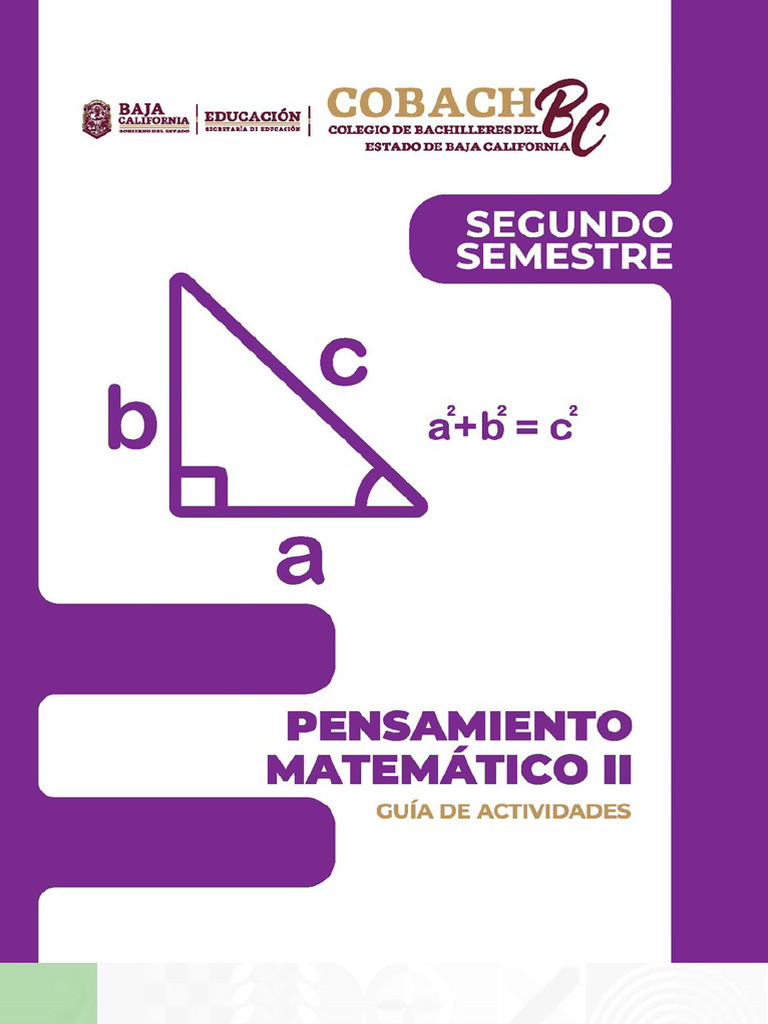 Guía de Aprendizaje Pensamiento Matemático II - 2024-1 | PDF | Ecuaciones | Matemáticas