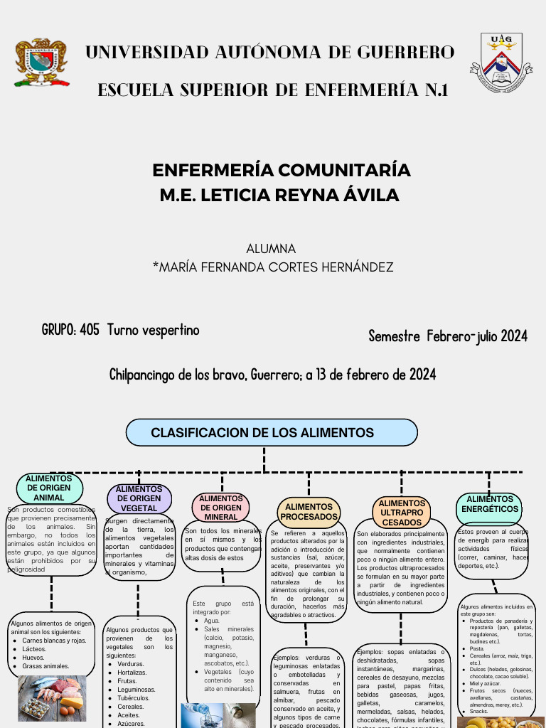 Act.2 Mapa de Cajas de La Clasificación de Los Alimentos Segun Su Origen | Descargar gratis PDF ...