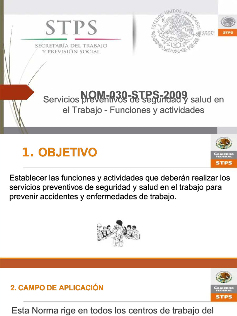 Manual NOM-030 | PDF