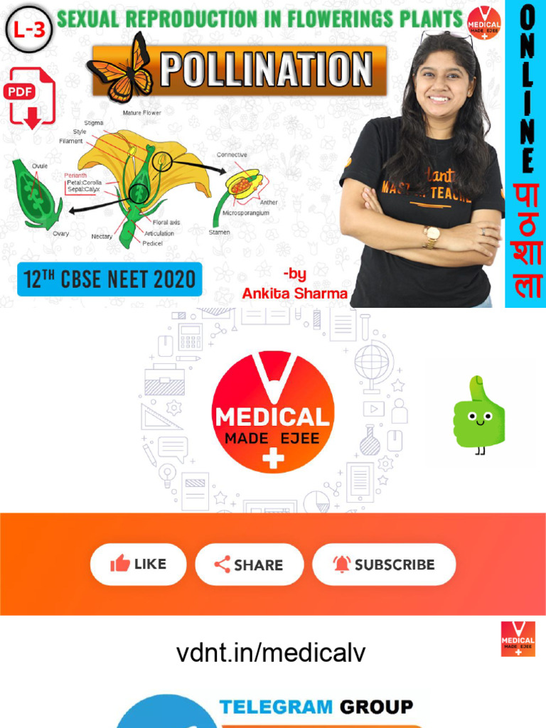 27-09-2019 - Pollination | PDF | Flowers | Pollination