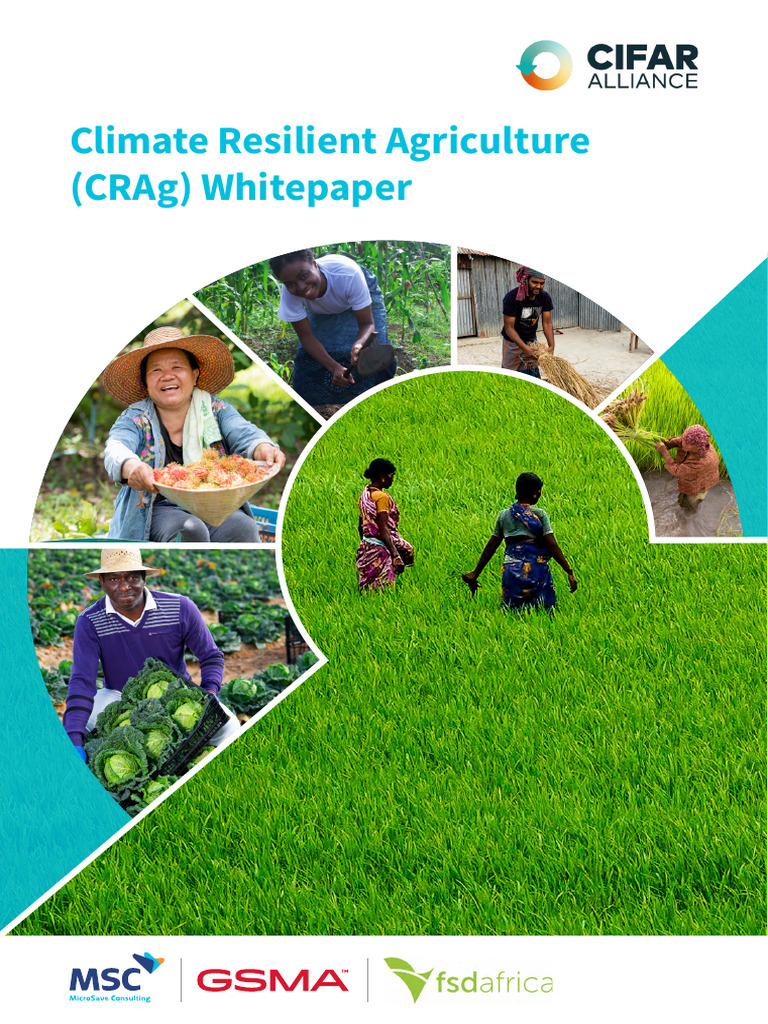 CRAg-Whitepaper | PDF | Smallholding | Agriculture