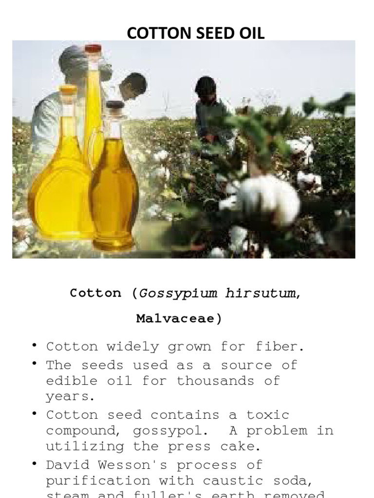 Cottonseed Oil: Extraction & Benefits | PDF | Wellness