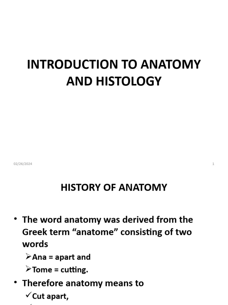 Intro. To Anatomy | PDF | Anatomical Terms Of Motion | Anatomical Terms ...