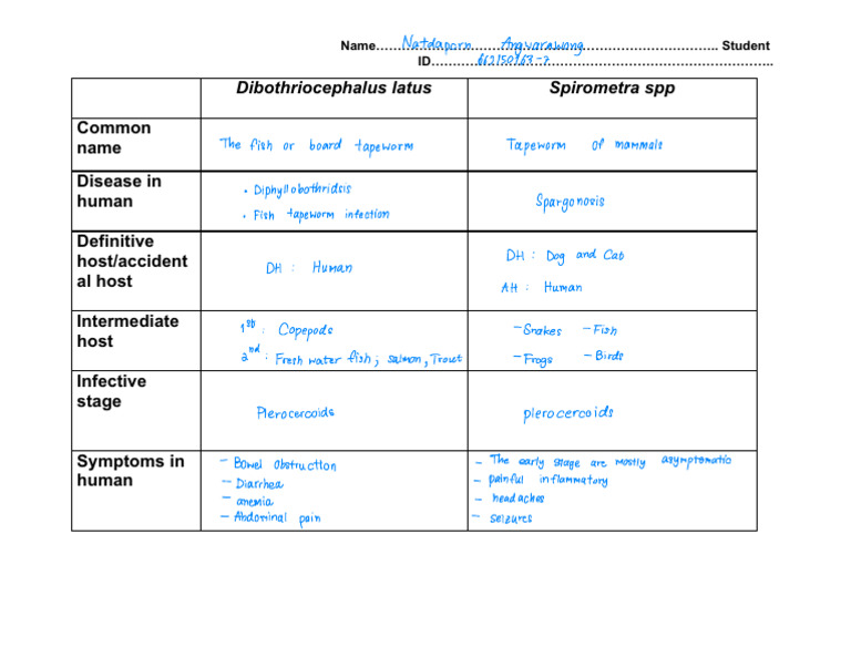 Assignment Pseudo PS Student 2023 2 | PDF