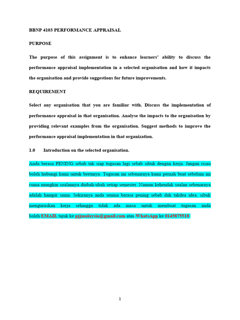 BBNP 4103 Performance Appraisal | PDF