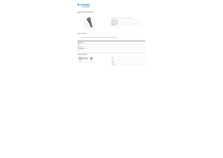 BN 610 - Screws and Bolts With Internal Drive - Bossard India M6X10 | PDF