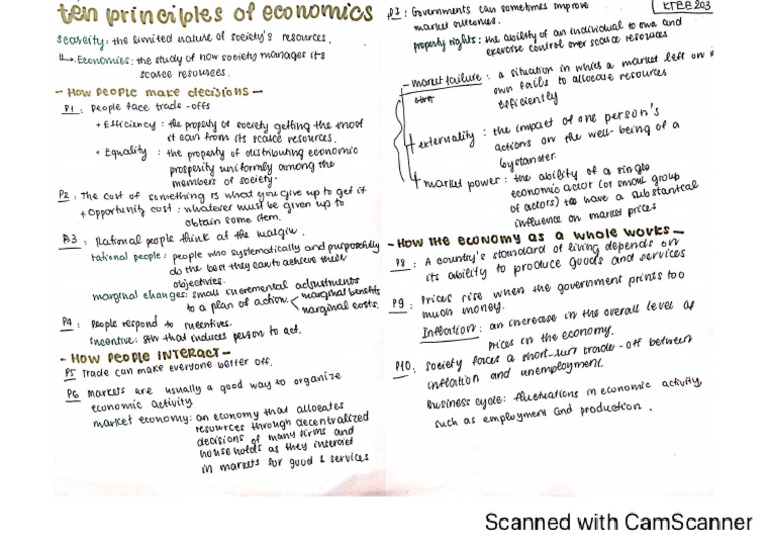 Chapter 1 Principles Of Macroeconomics N Gregory Mankiw Pdf
