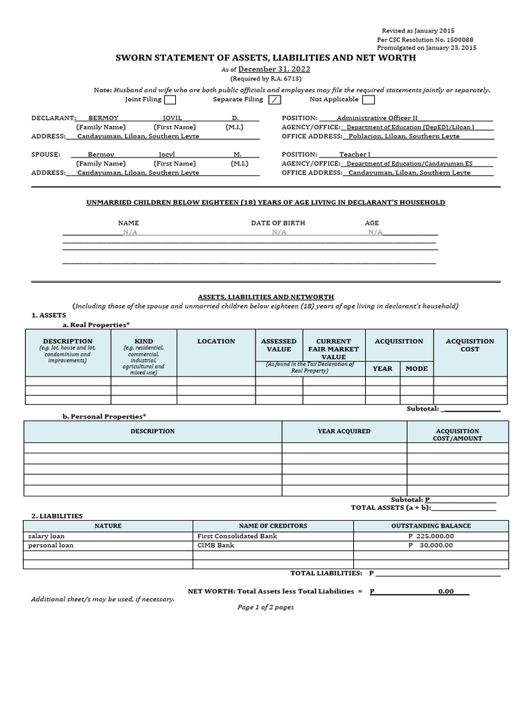 SALN Template | PDF | Net Worth | Economies