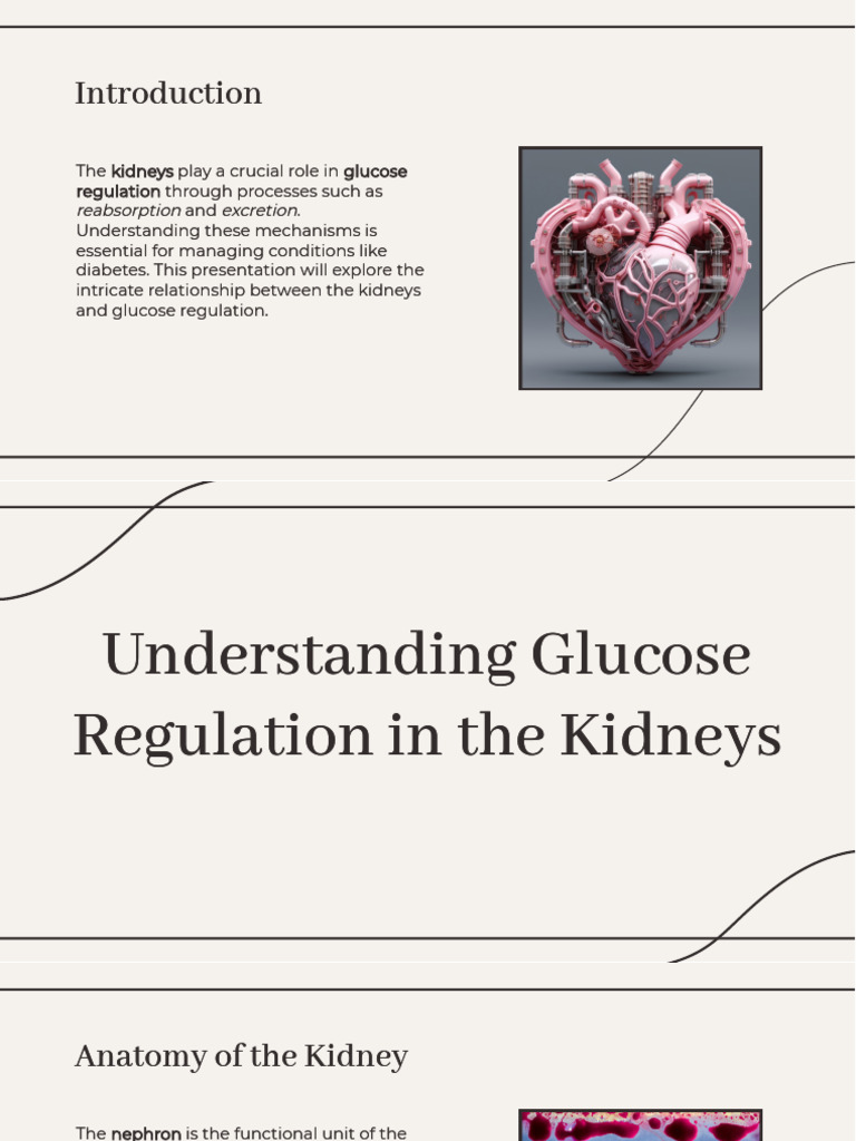 Wepik Understanding Glucose Regulation in The Kidneys ...