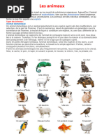 Decrire Mon Animal Prefere | PDF | Livres de cuisine, nourriture et vin