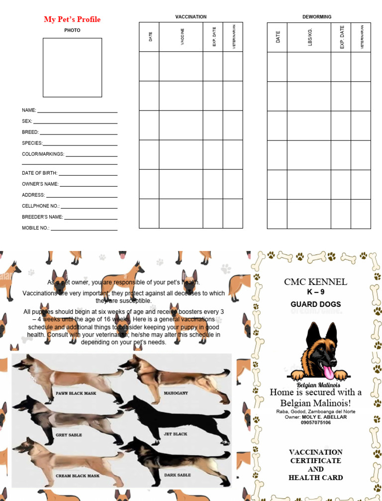 Vet Card | PDF | Dogs | Animals And Humans