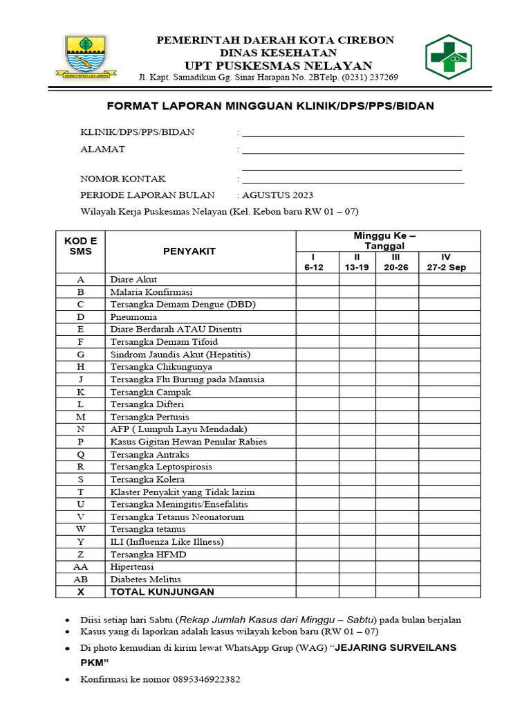 Format SKDR Jejaring | PDF
