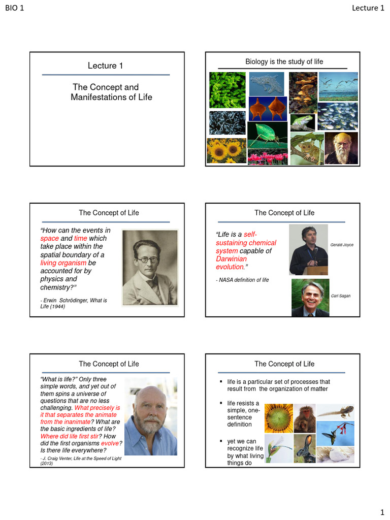 Lecture 1 - The Concept and Manifestations of Life | PDF | Life | Organisms