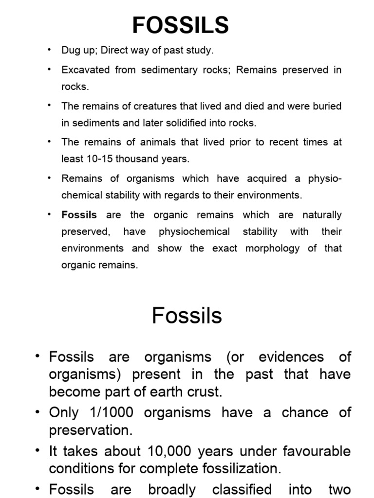 4.fossils & Type | PDF | Fossil | Sedimentary Rock