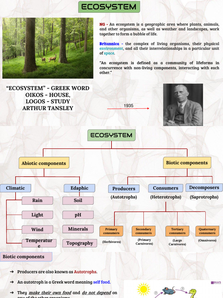 Unit 2 - Ecosystem | PDF