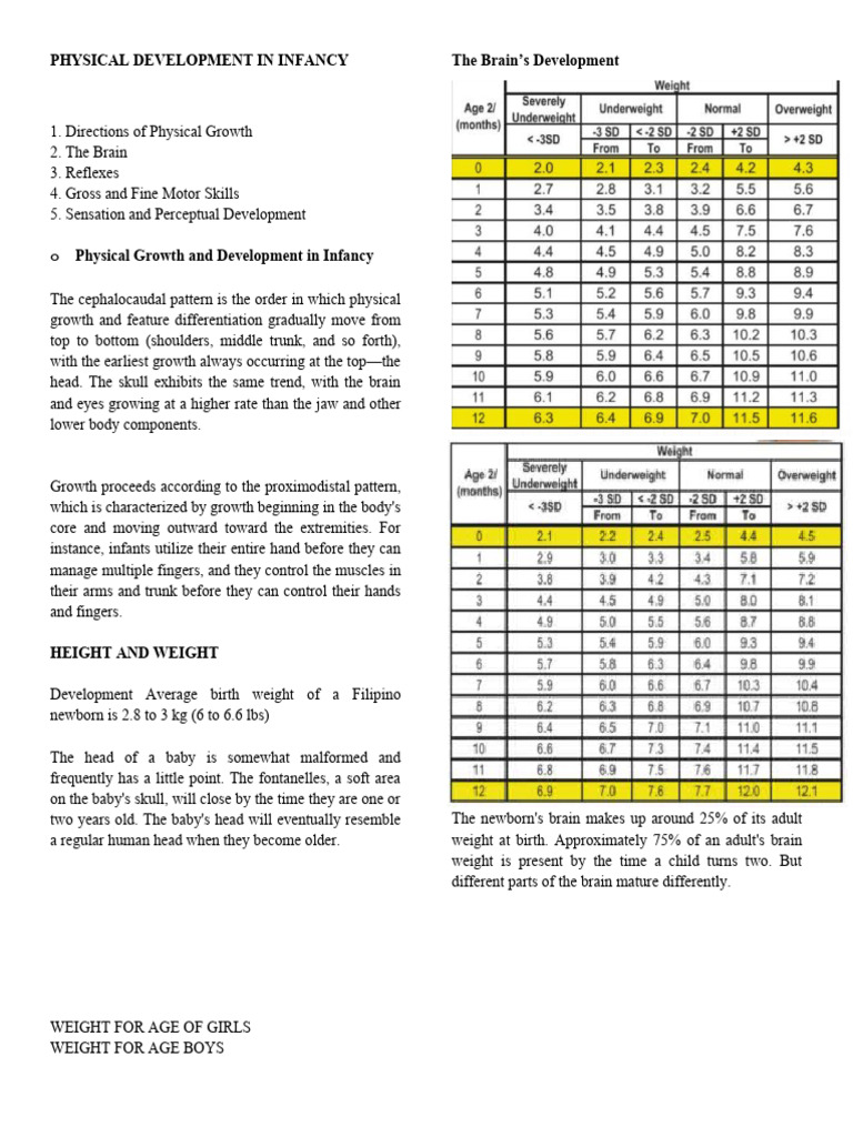 Infant Physical Development Overview | PDF | Perception | Senses