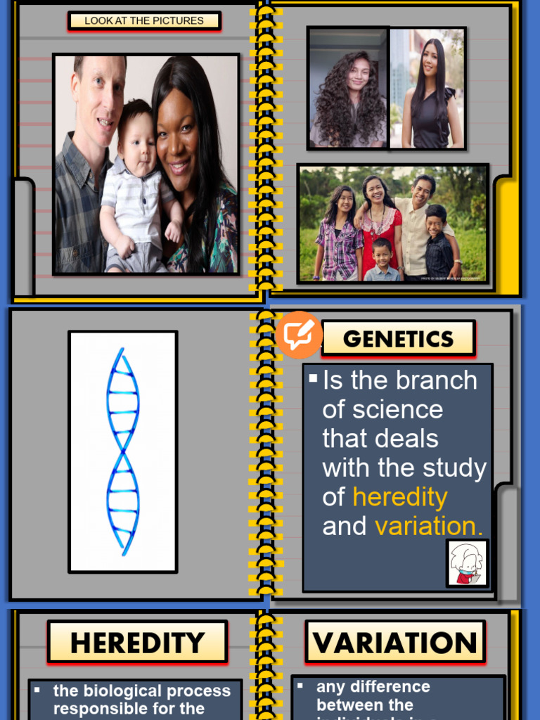 Mendelian Genetics | PDF | Dominance (Genetics) | Zygosity