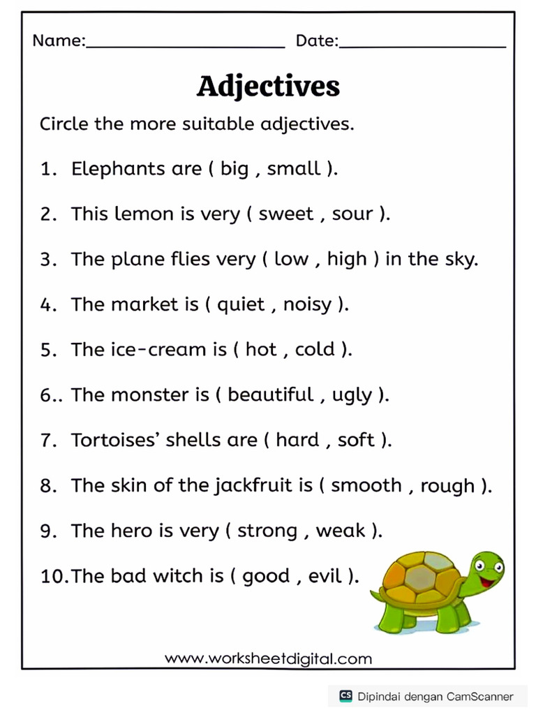 Exercise 2 (Adjective) | PDF