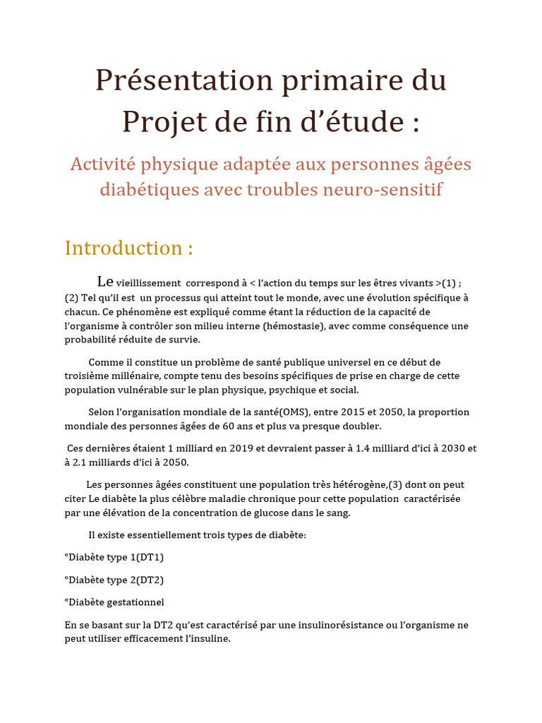 Présentation Primaire Du PFE | PDF