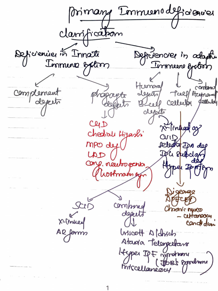 Primary Immunodeficiency | PDF