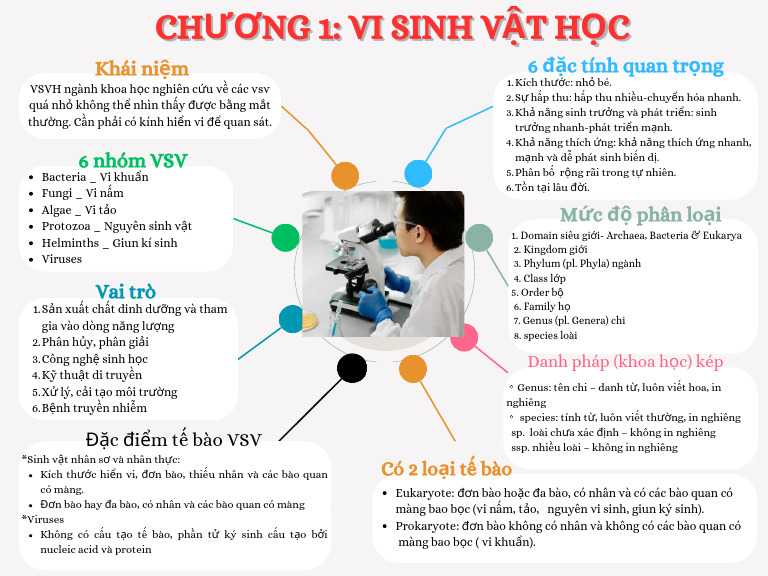 Chương 1 VSVH (Sơ Đ Tư Duy) | PDF