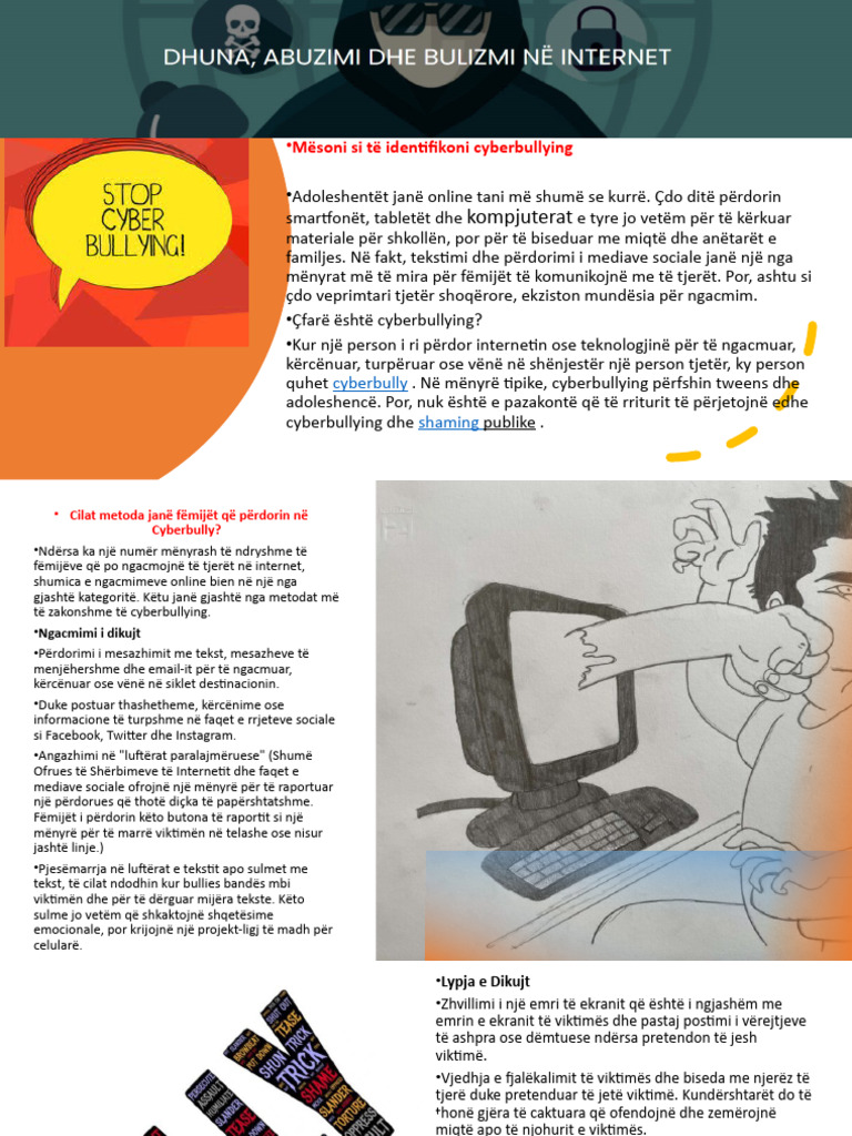 Bullizmi Ne Internet | PDF