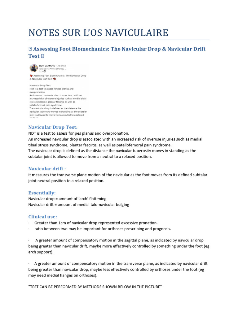 Notes Sur L'os Naviculaire | PDF | Wellness | Technology & Engineering