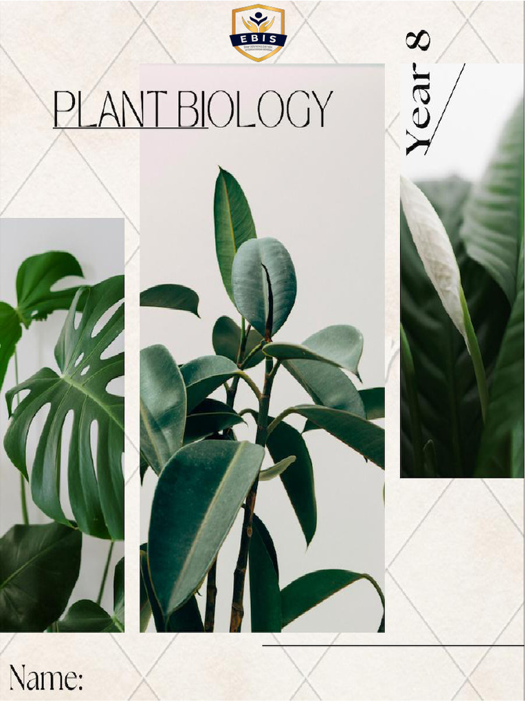 Plant Biology | PDF