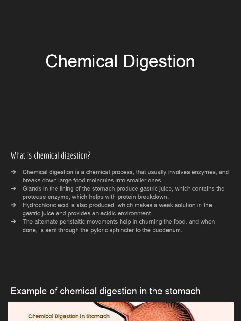 Bio Chemical Digestion in Stomach | PDF | Digestion | Stomach