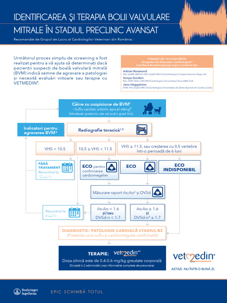 2019 BVM Flowchart | PDF