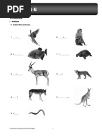 Cambridge Global ENglish 6 Workbook Ans - Point | PDF | Whales | Volcano