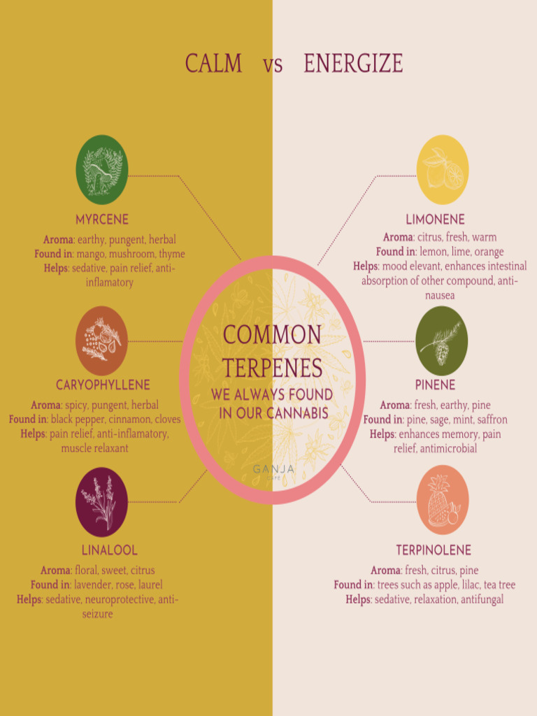 Common Terpene | PDF