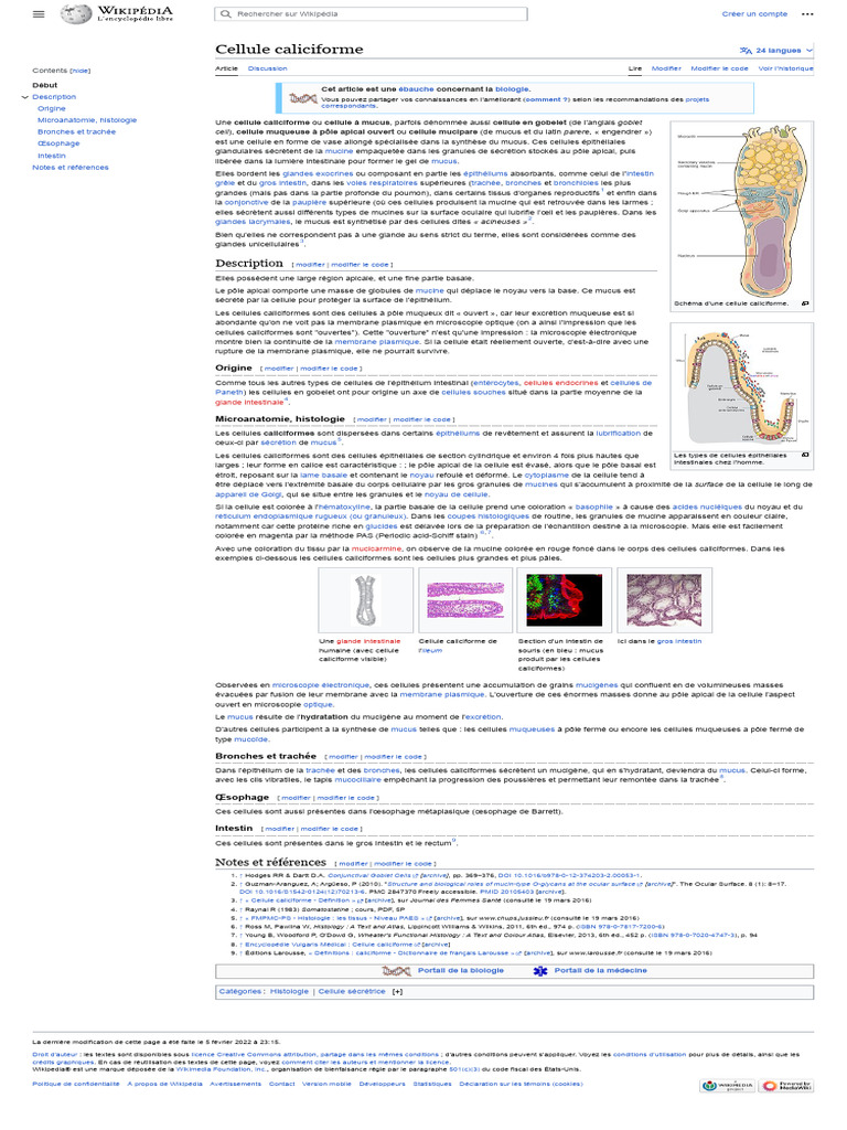 Cellules caliciformes : structure et fonction | PDF | Microscopie ...