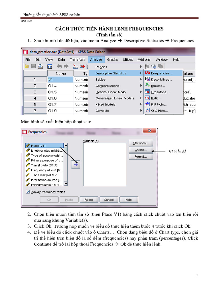 Huong Dan Thuc Hanh SPSS | PDF