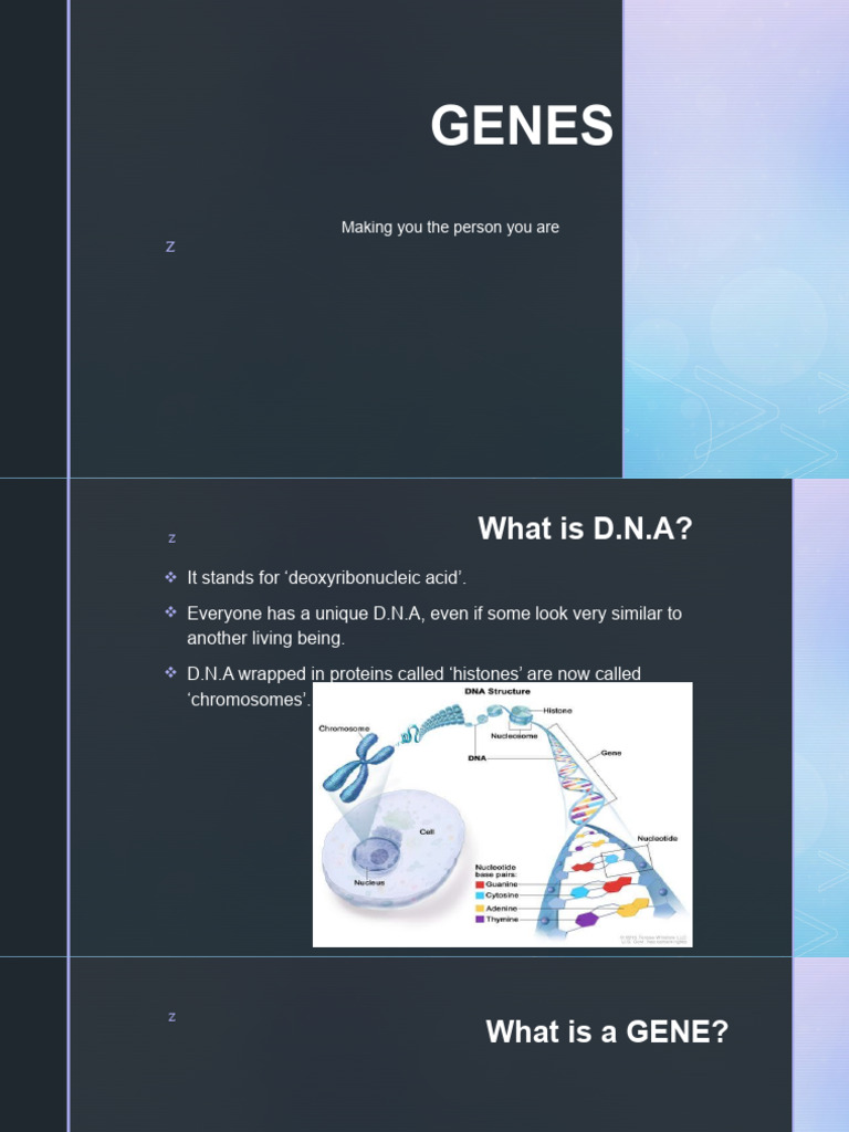 Genes | PDF | Dominance (Genetics) | Allele