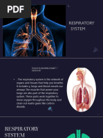 Cattle Respiratory System Overview | PDF | Lung | Respiratory Tract