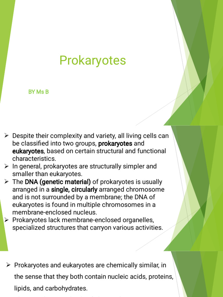 LECT 2 Prokaryotes | PDF | Cell (Biology) | Gram Positive Bacteria