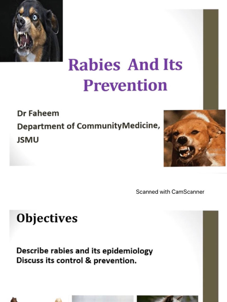 Rabies and It's Prevention | PDF