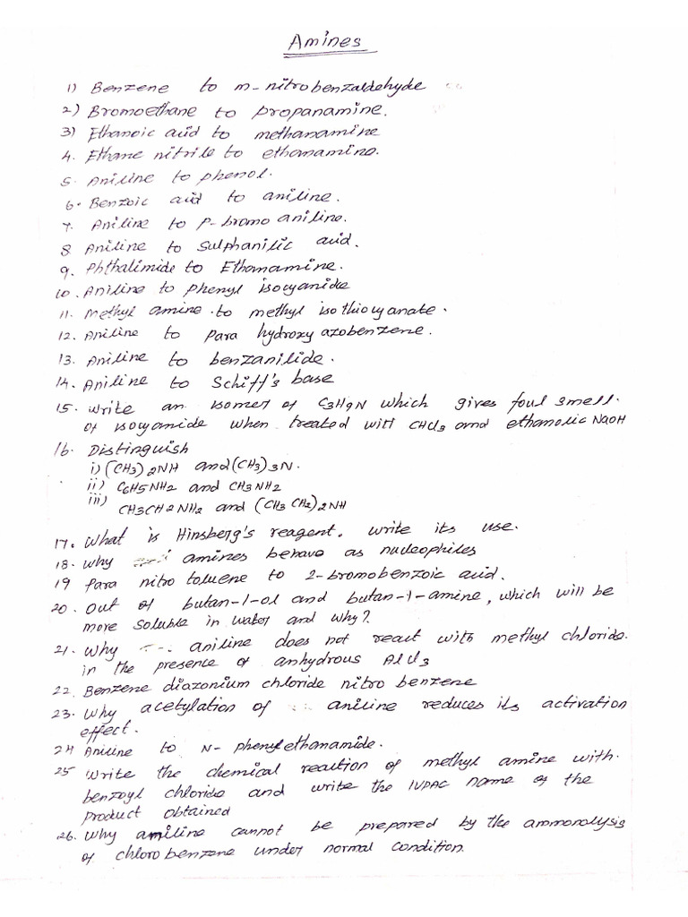 Amines Worksheet | PDF