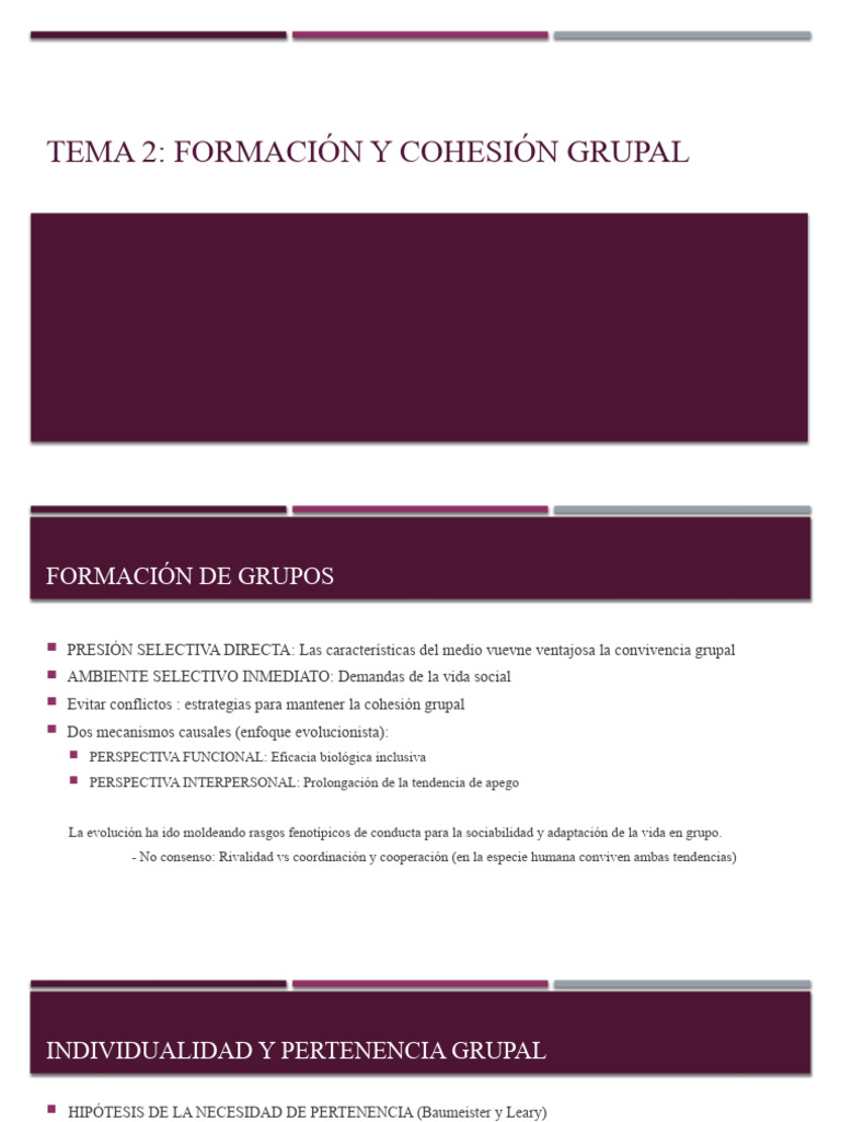 Psicología de Grupos. Powerpoint | PDF | Cohesión grupal | Mente