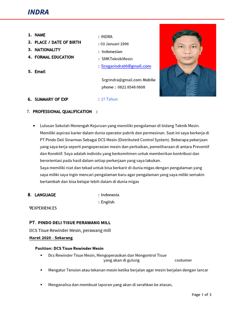 CV - Indra Siregar | PDF
