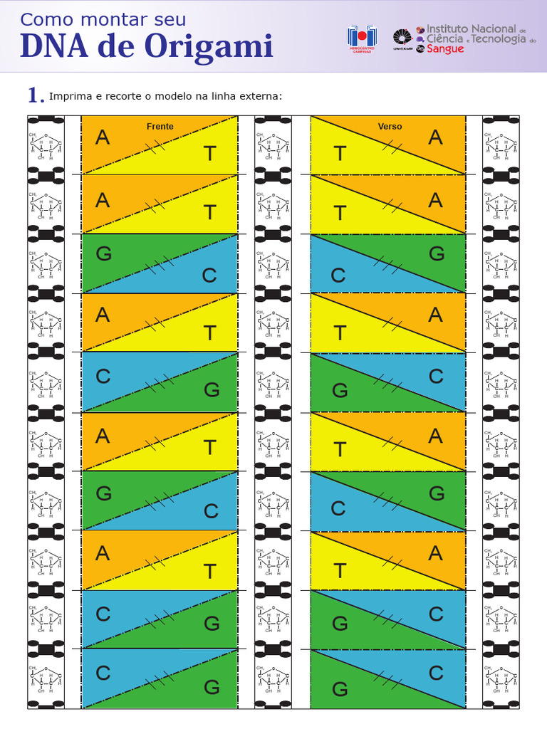 Montagem de DNA em Origami | PDF | Origami
