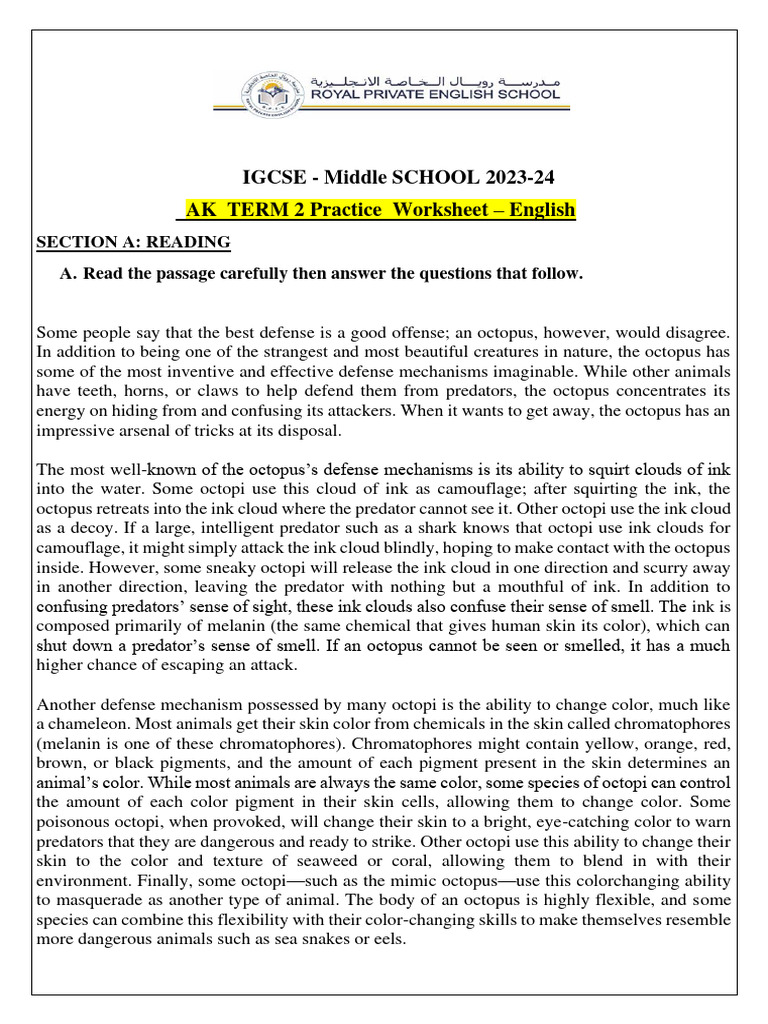 AK G04-English Practice Worksheet-Term 2 | PDF | Octopus | Predation