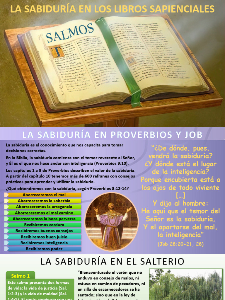 Sabiduría en los Libros Sapienciales | PDF | Contenido bíblico