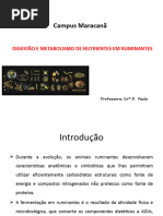 Mat. Estudos - Microbiota Ruminal - Nutrição de Ruminantes | PDF ...